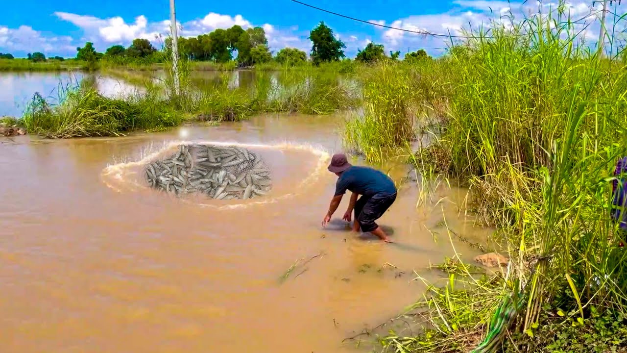 WOOW!!!Fisherman Cast Net Fishing Real Life Amazing Fishing At ...