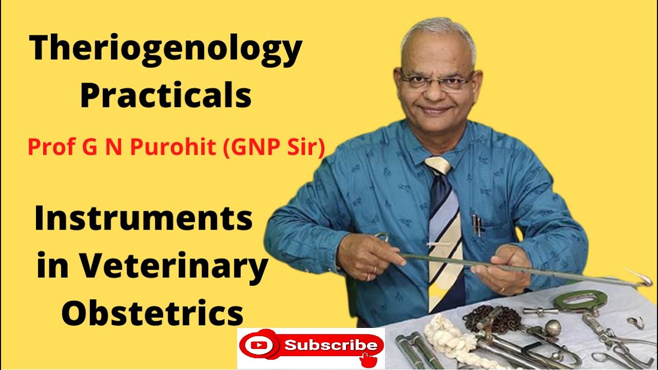 Unlocking the Mystery: What Instruments are Used in Veterinary ...