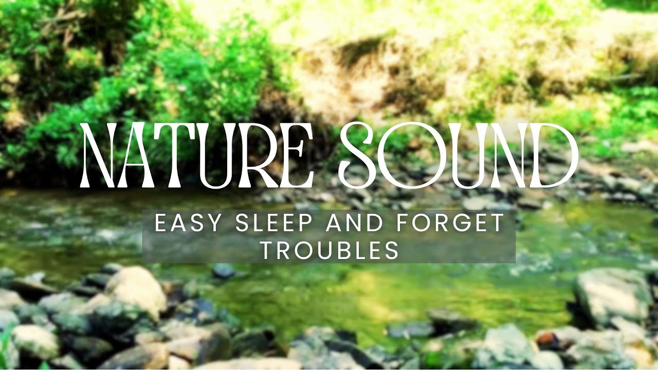 Relaxing nature sounds, River Sounds, The Soothing Sounds for Nature ...
