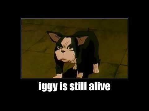Iggy he's still alive (meme) - YouTube