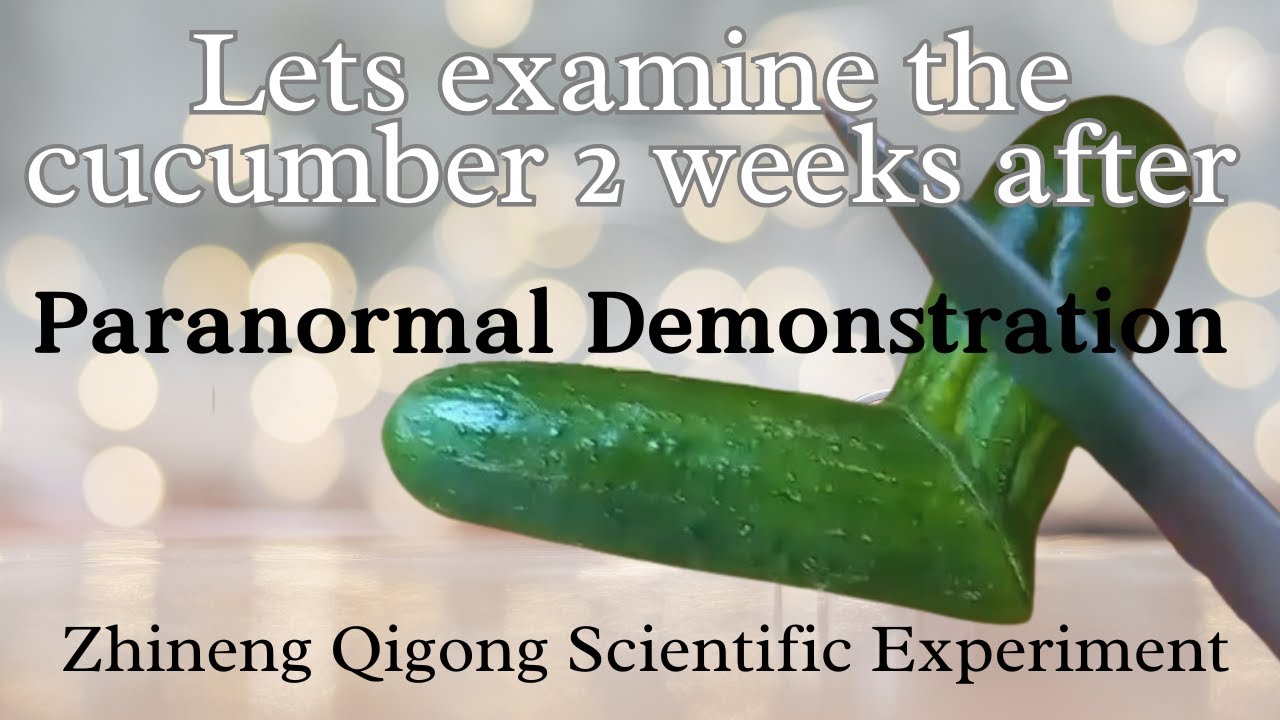 After Paranormal Demonstration Examine the cucumber 2 weeks later ...
