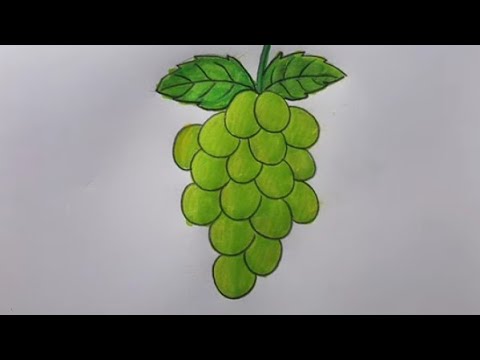 How to draw grapes 🍇 || Angur fal drawing|| Fruit drawing - YouTube