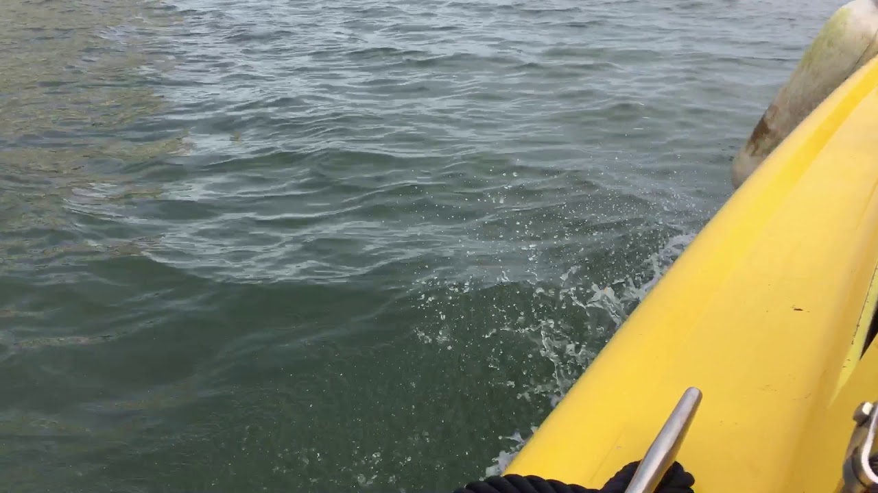 Llandudno Speed boat ride 😁 - YouTube
