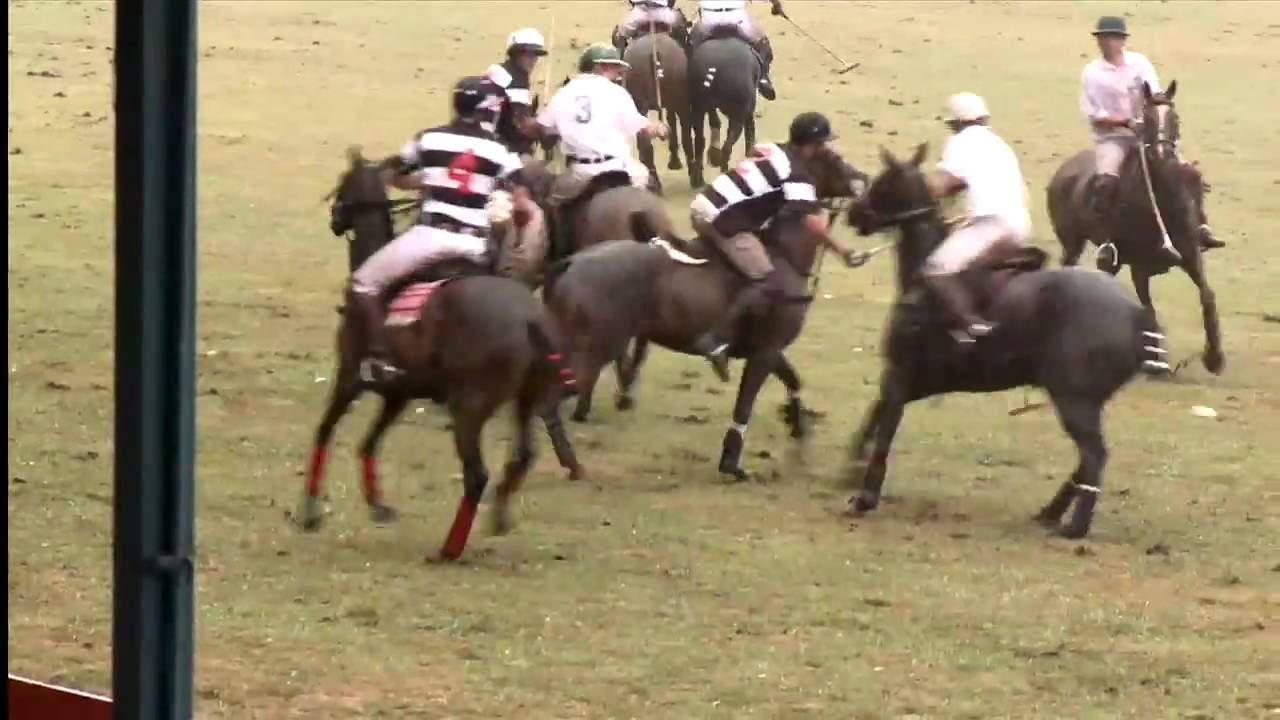 nz polo pony-Pingu - YouTube