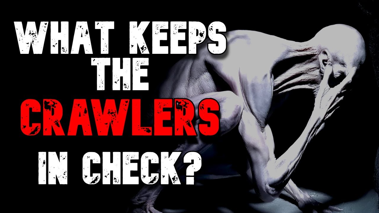 Ecology of a Cryptid - YouTube