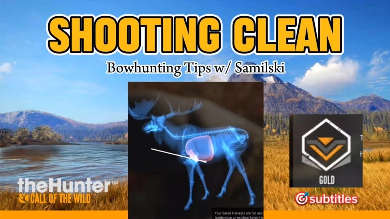 Where To Aim For ONE SHOT Kills | theHunter: COTW Beginner's Guide - YouTube