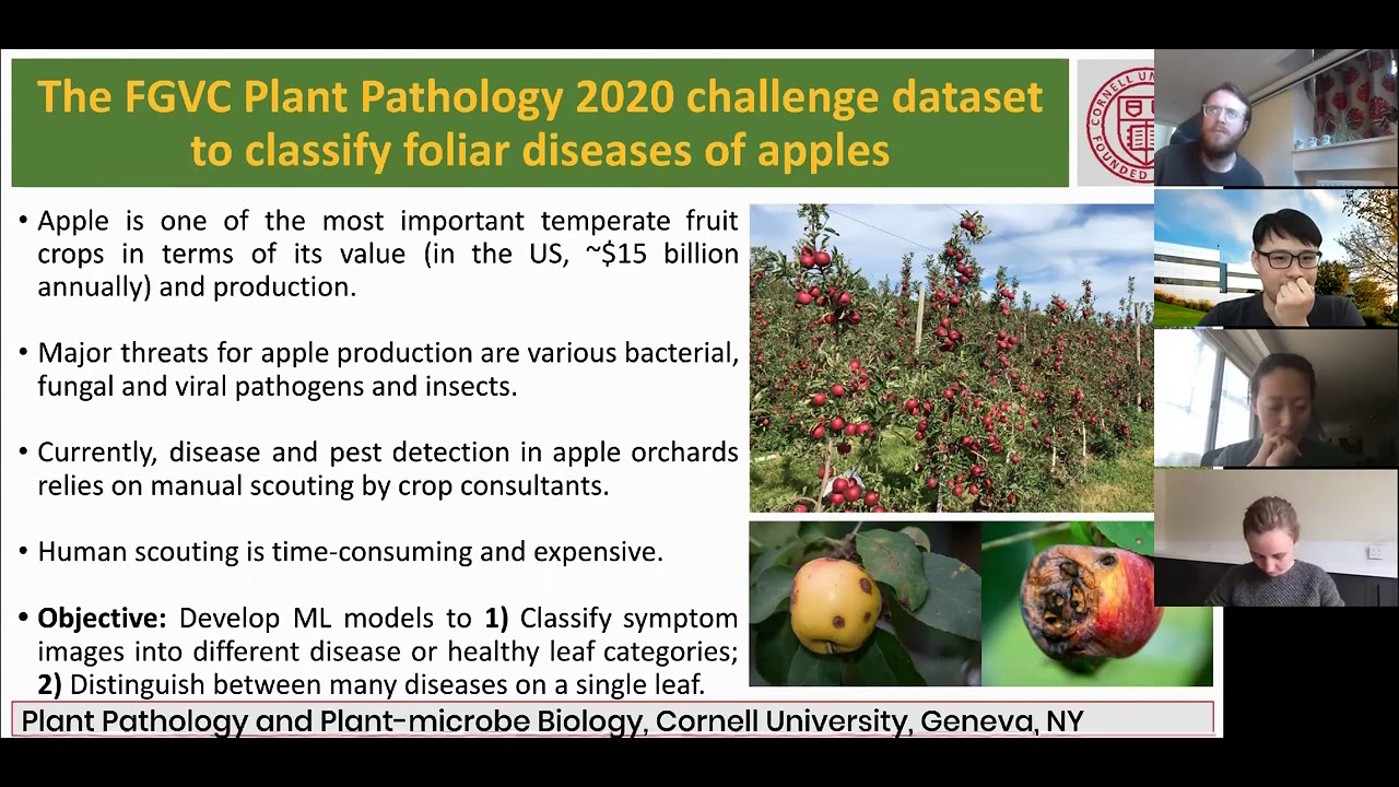 FGVC7 ‘Plant Pathology Challenge’ at CVPR2020 and Kaggle Competition ...