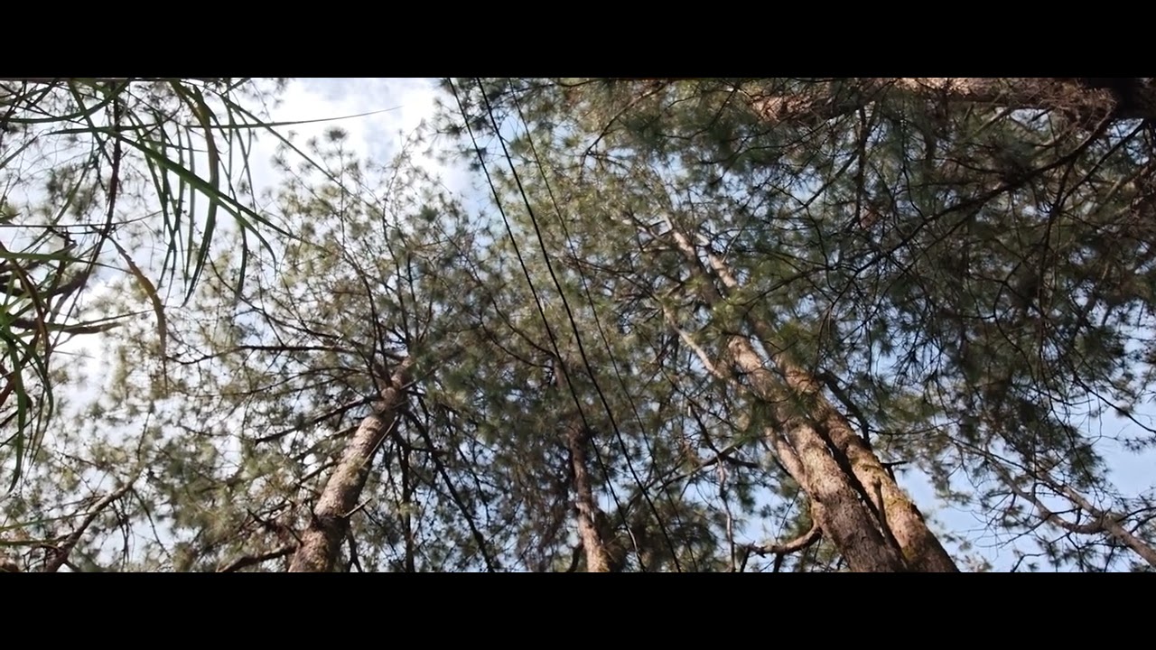 🪔Paano Magpakumbaba? 🎧 - YouTube