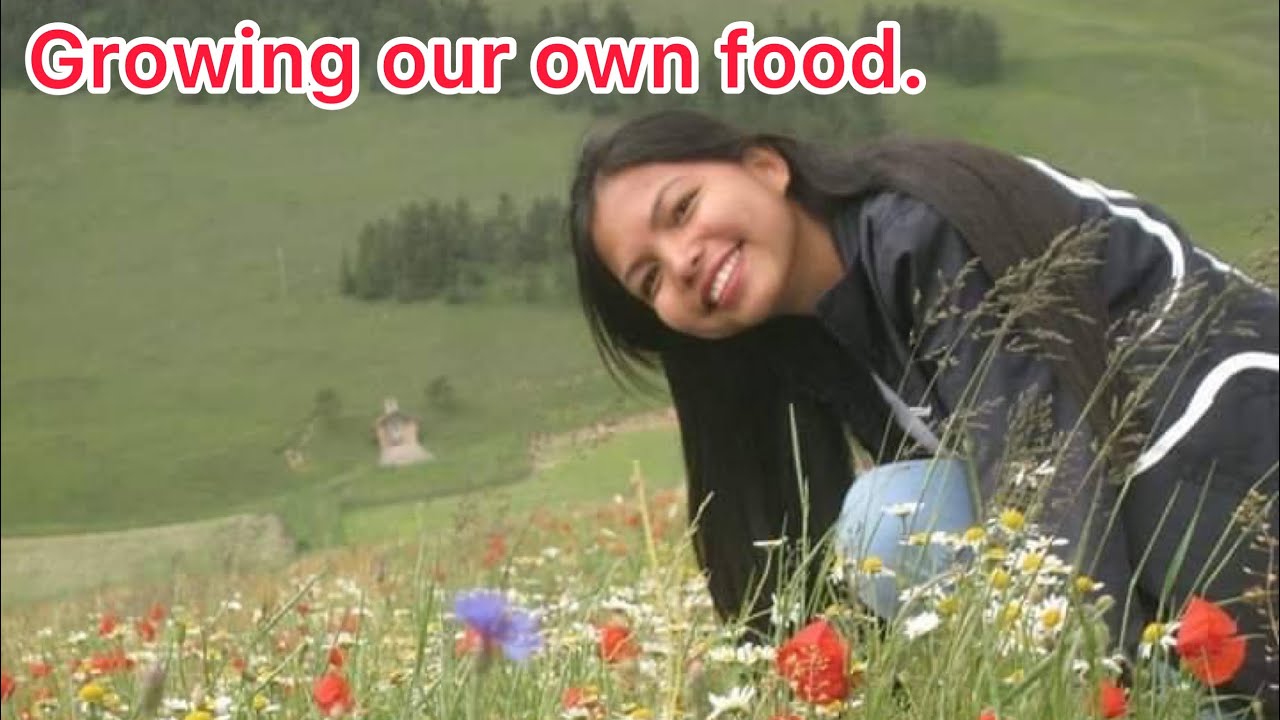 Growing our own food. - YouTube