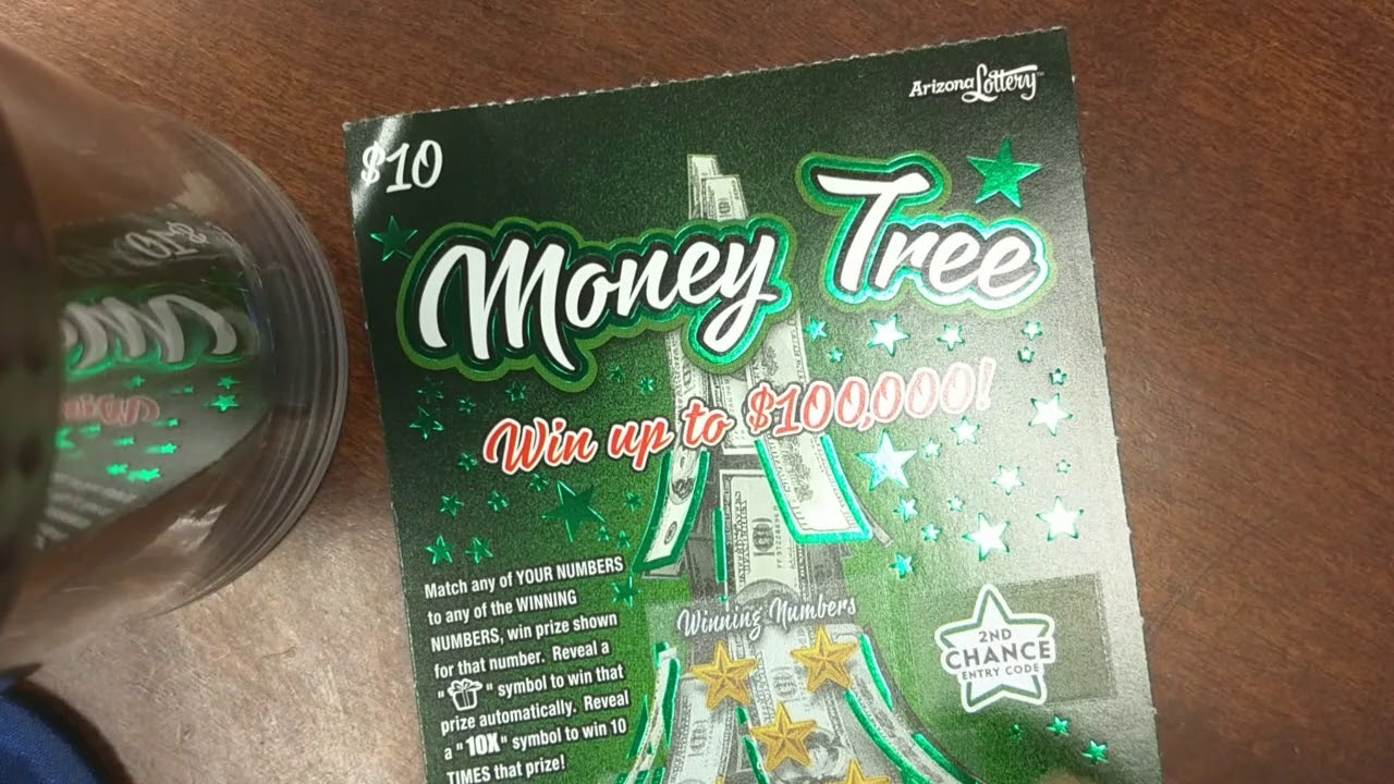 Money Tree Scratcher - YouTube