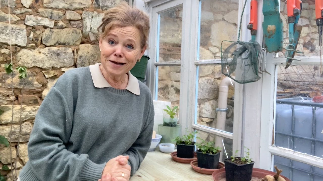 Ini's Moestuin #37 Druif snoeien, wisselteelt toepassen, dus hoe je ...