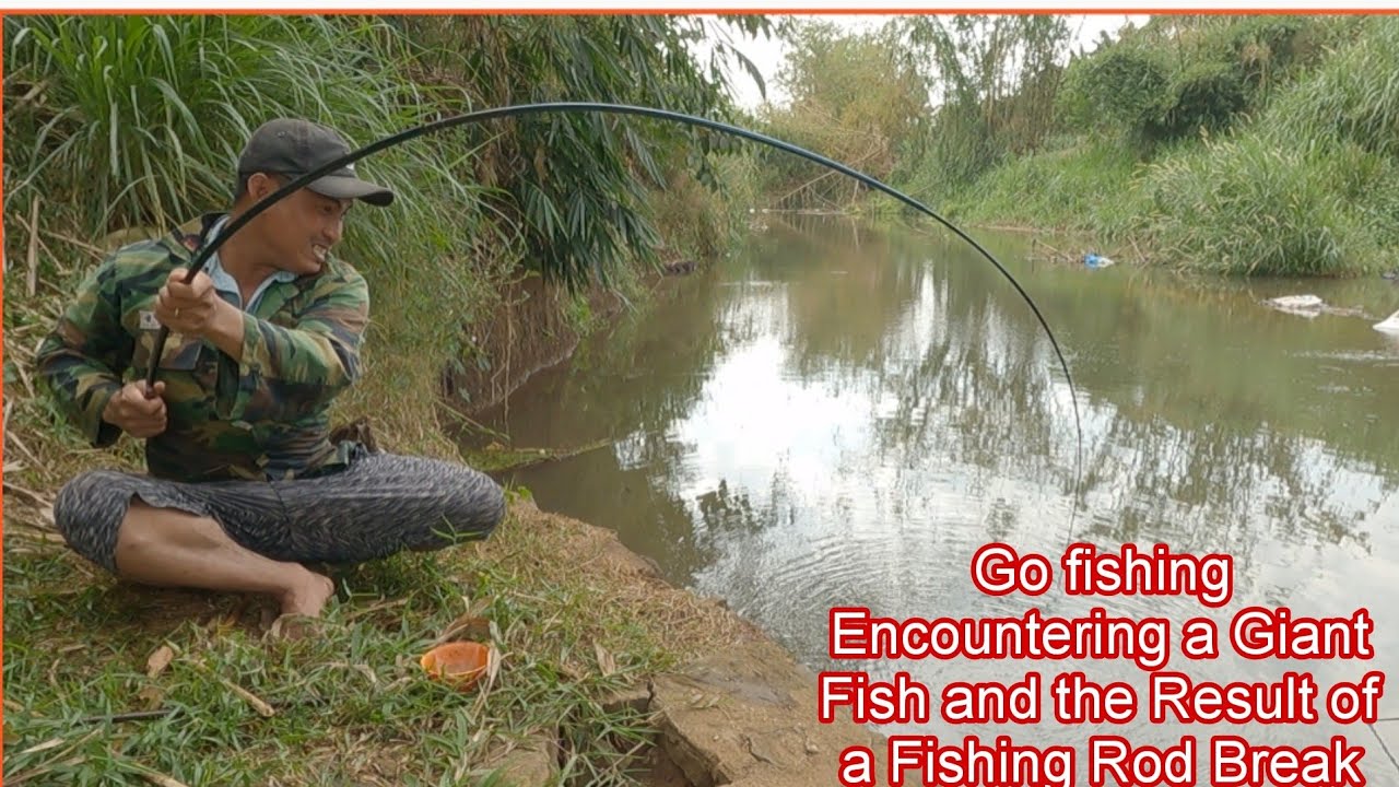 Go fishing Encountering a Giant Fish and the Result of a Fishing Rod ...