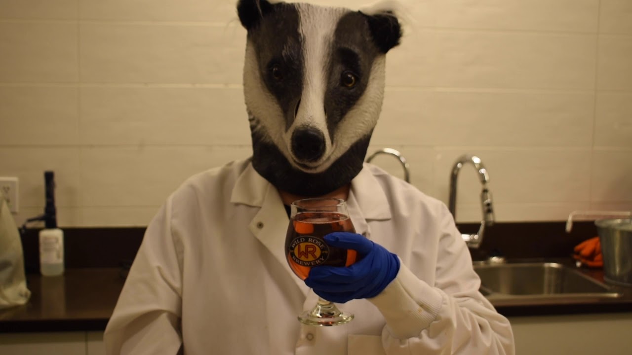 Lab Badger 2 - The Lab - YouTube