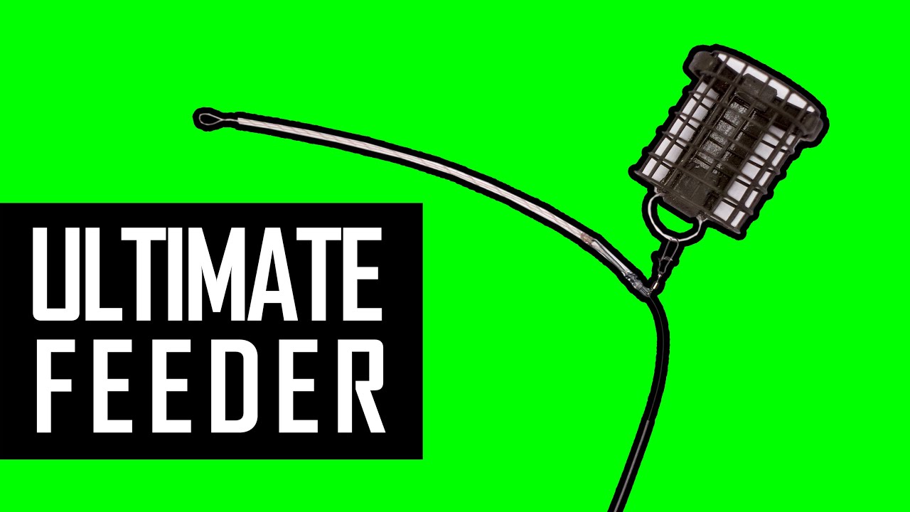 How to tie best feeder rig? No-tangle feeder gum solution! Feeder ...