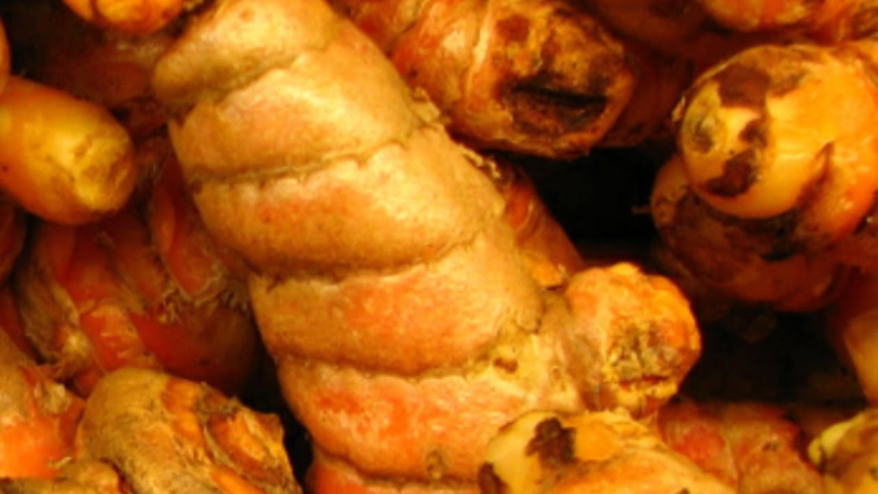 HMOOB KUAB TSHUAJ, KHO NQAIJ TO QHOV TXHAB ZOO SAI - YouTube