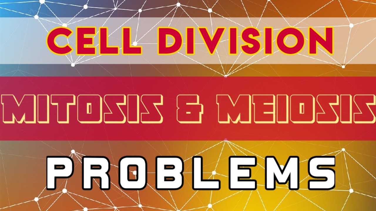 Cell division | Mitosis and Meiosis | Problems - YouTube