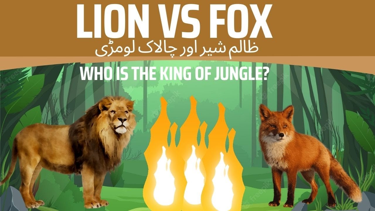 cartoons Lion vs Fox | Hounds in Pounds | stories | animation - YouTube