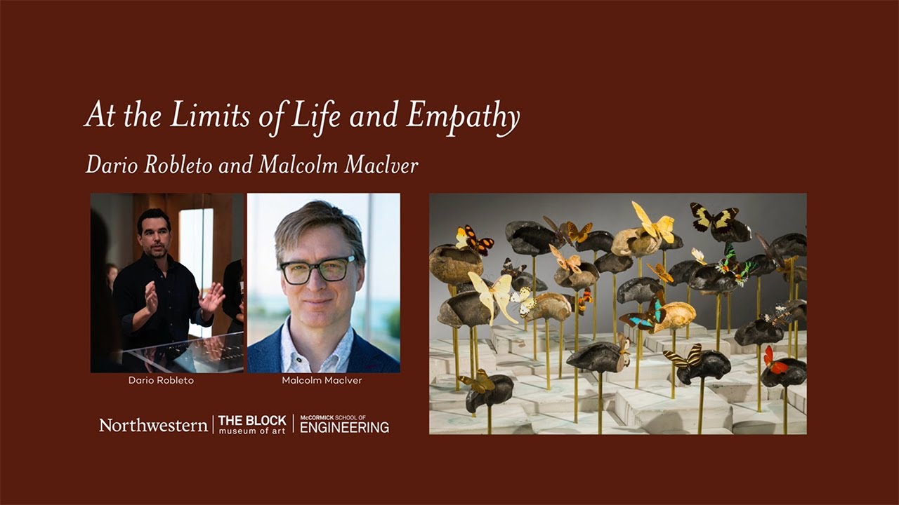At the Limits of Life and Empathy: Dario Robleto and Malcolm MacIver ...