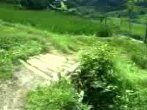 MANDI DI SUNGAI PONGGOK KEDIRI