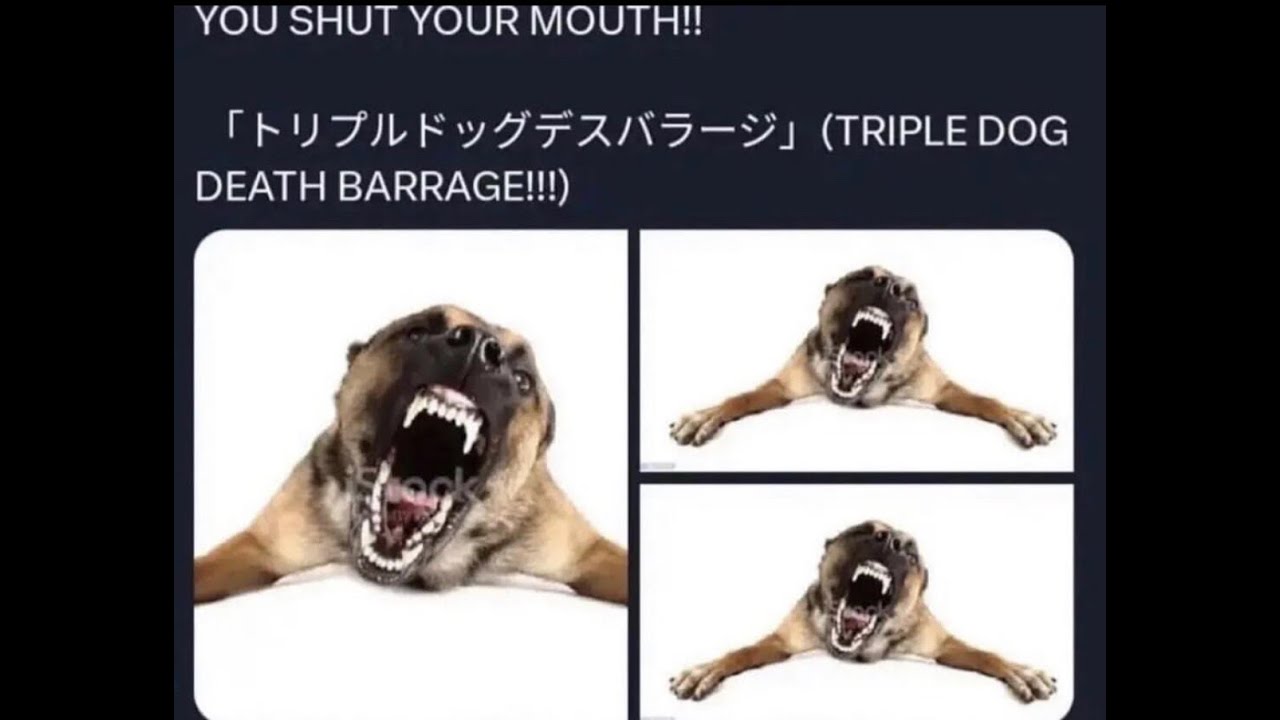 A Triple Dog Lethal Compliation - YouTube