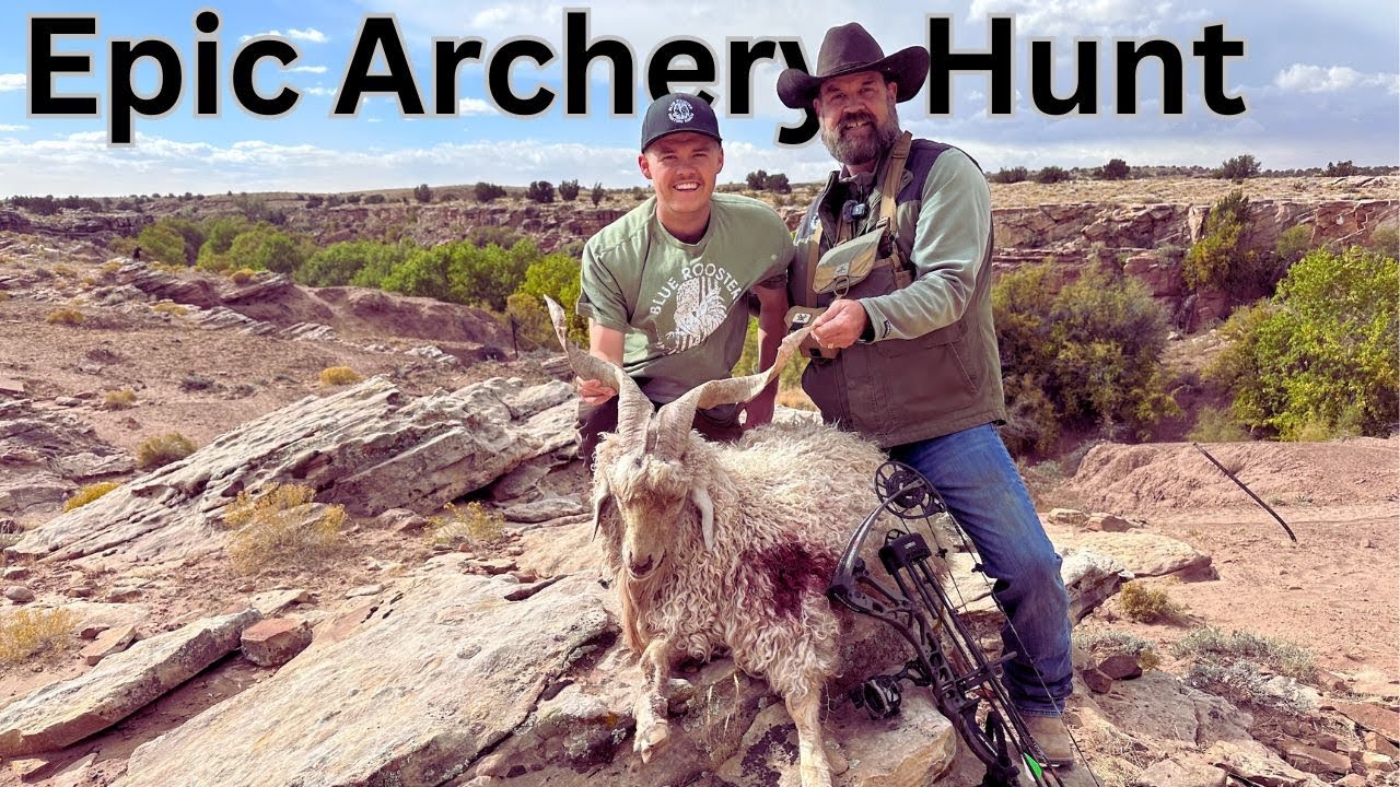 Archery Ram Hunt with my Son on the Blue Rooster Hunting Ranch - YouTube