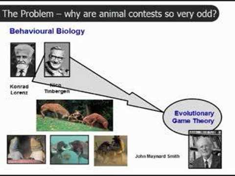 Mathematics of Evolution Part 3 - YouTube