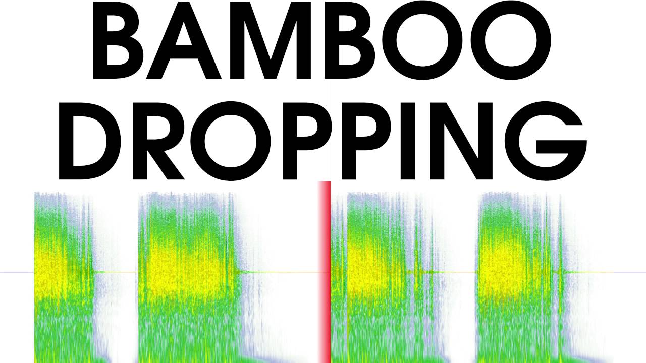 Bamboo Dropping Sound Effects - YouTube