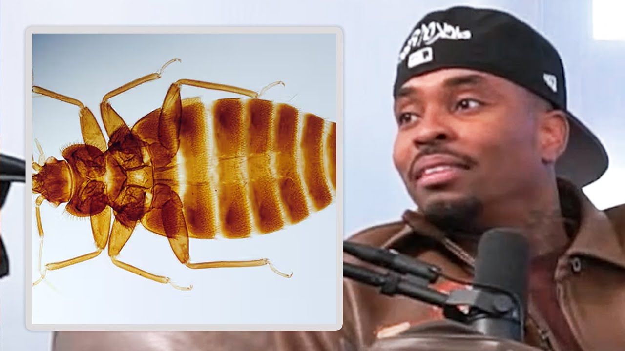 T-Rell On Having Bed Bugs As A Kid - YouTube
