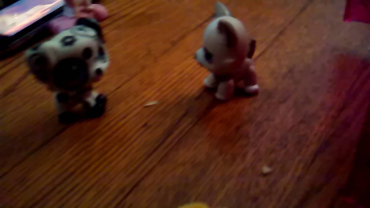 Loonas new pet friends episode 1(the good news) - YouTube