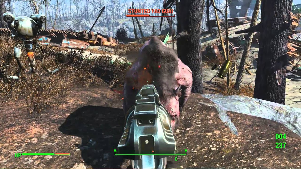 Fallout 4 : Yao guai wants to eat the synths - YouTube
