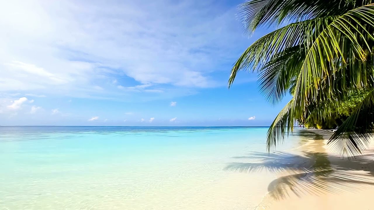 Beach scene - YouTube