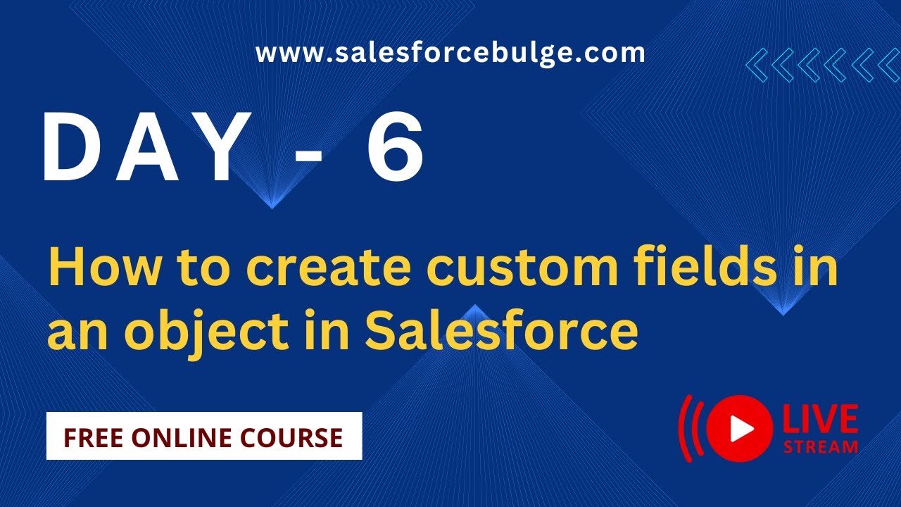 Day 6 How To Create The Custom Fields In An Object In Salesforce Youtube
