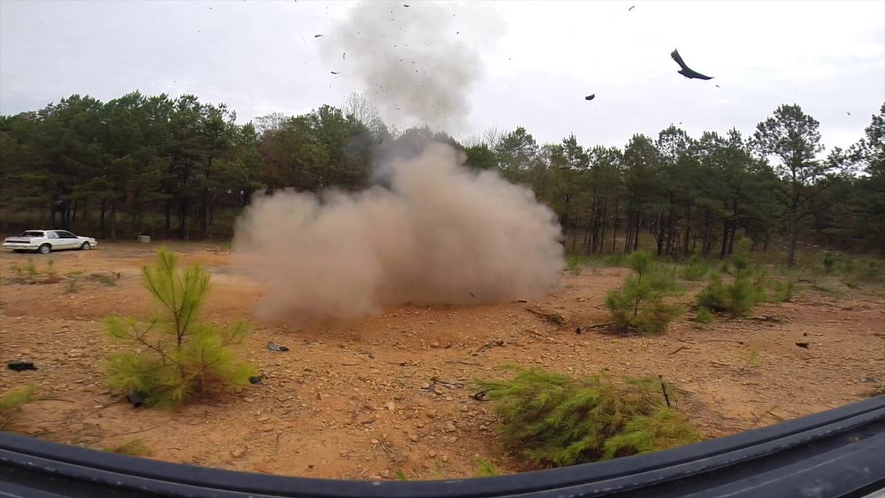 Tripwire and IK9, Advanced Explosive Detection K-9 Class November 2013 ...