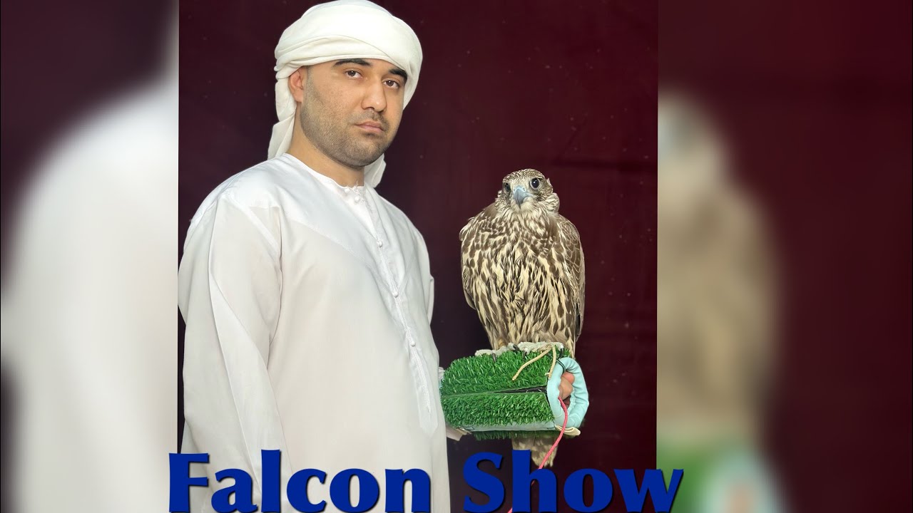 Welcome to light falcon show. - YouTube