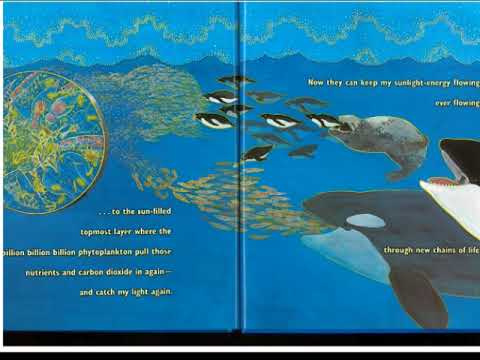 Ocean Sunlight - YouTube