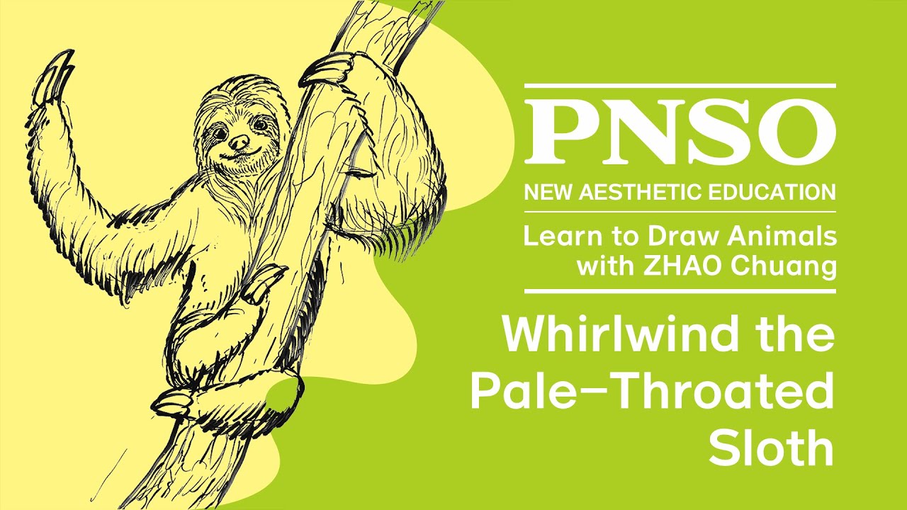 033 Whirlwind the Pale-Throated Sloth | Learn to Draw Animals with ZHAO ...