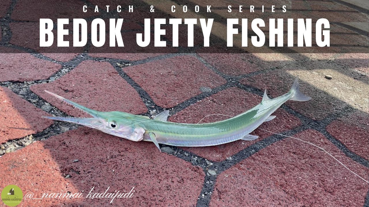 Fishing in Bedok Jetty in Tamil | ECP | Fishing in Singapore | Todak ...