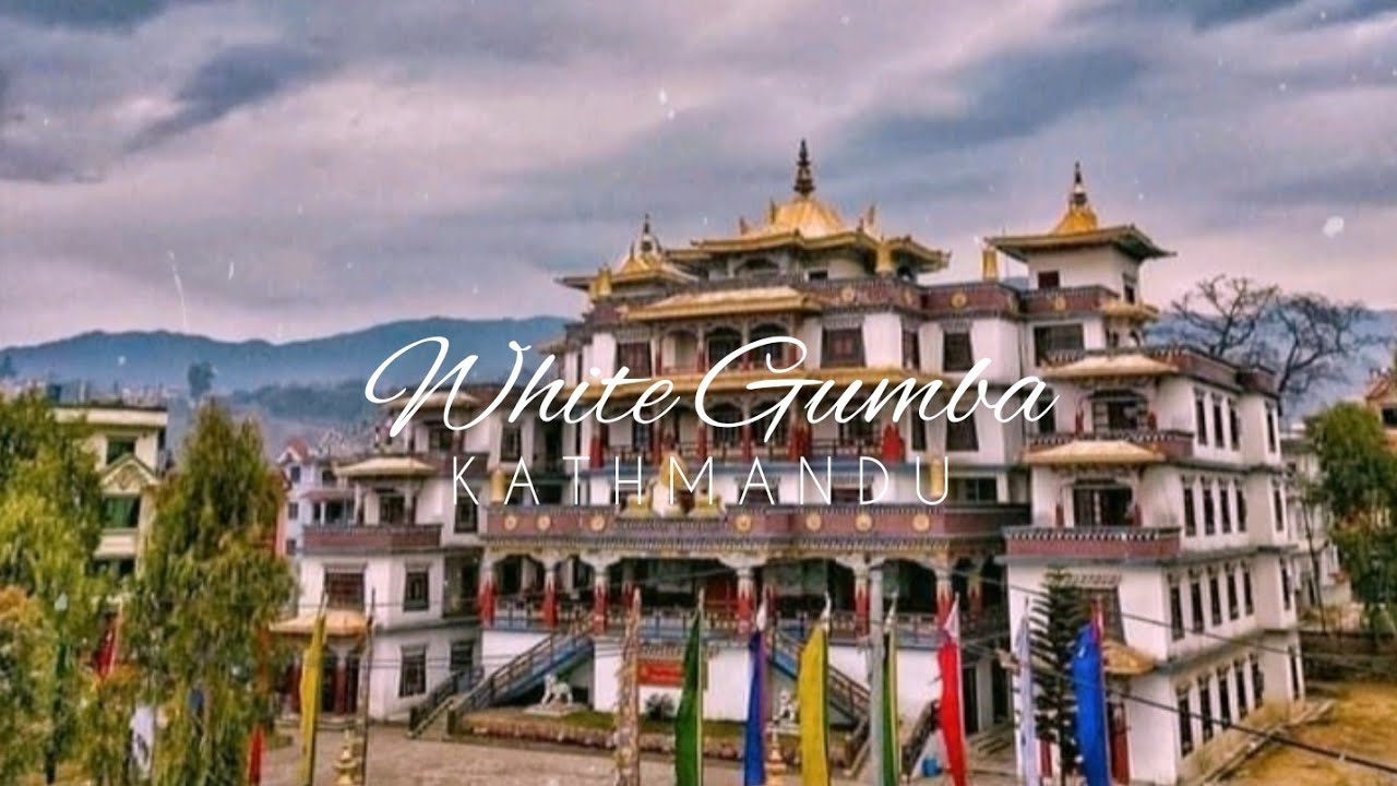 White Gumba | SHORT RIDE OF WHITE GUMBA'S ROAD NEAR FROM SHOYAMBU🔥 ...