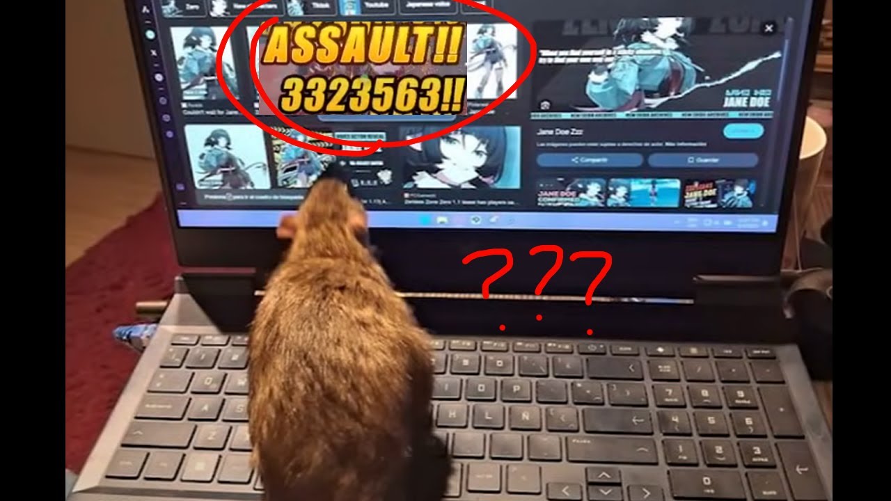 [ZZZ] THE RATS ARE WINNING (Feat Jane Doe M6 S17-1) - YouTube