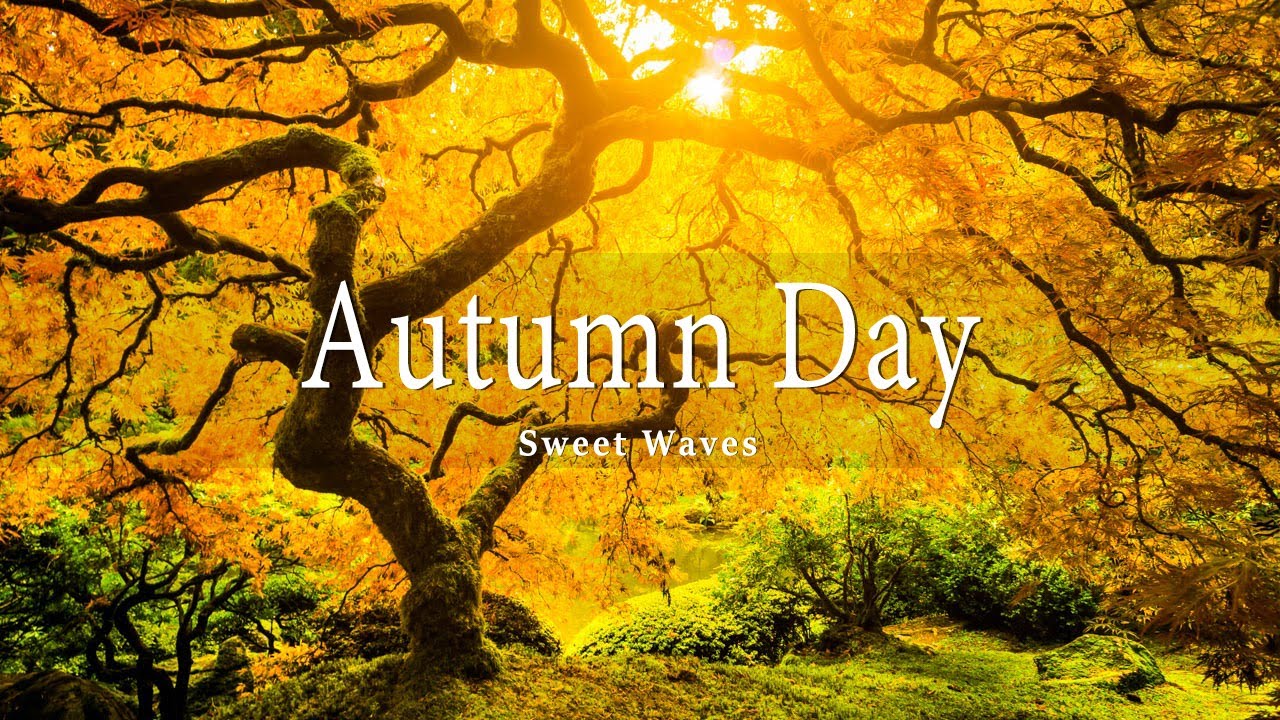 🍁🍁🍁Incredible Fall Foliage - Best 4K Autumn Nature Scenes from Around ...