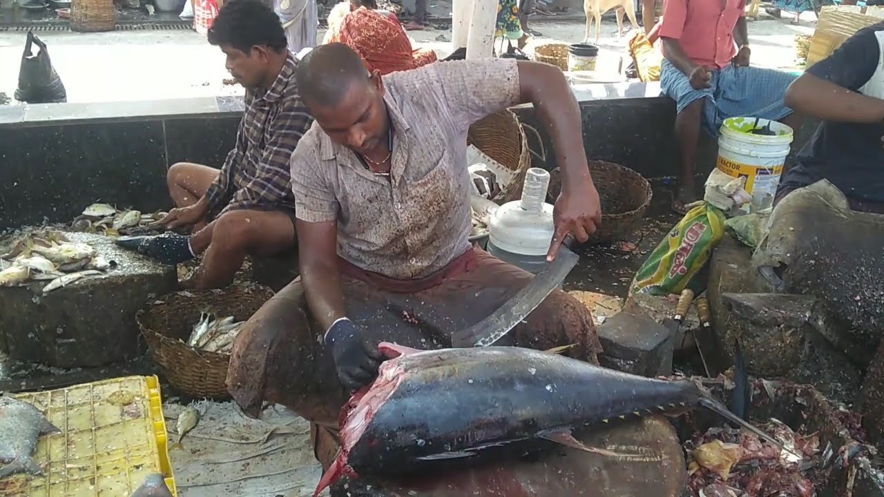 25Kg TUNA FISH 🐟 CUTTING / KASI MEDU/ FISH MARKET/Fast workers/காசிமேடு ...