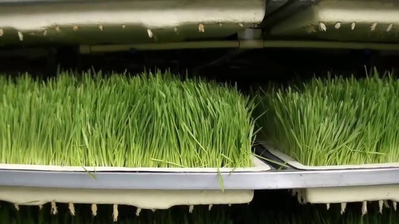 CROP BOX 6 - YouTube