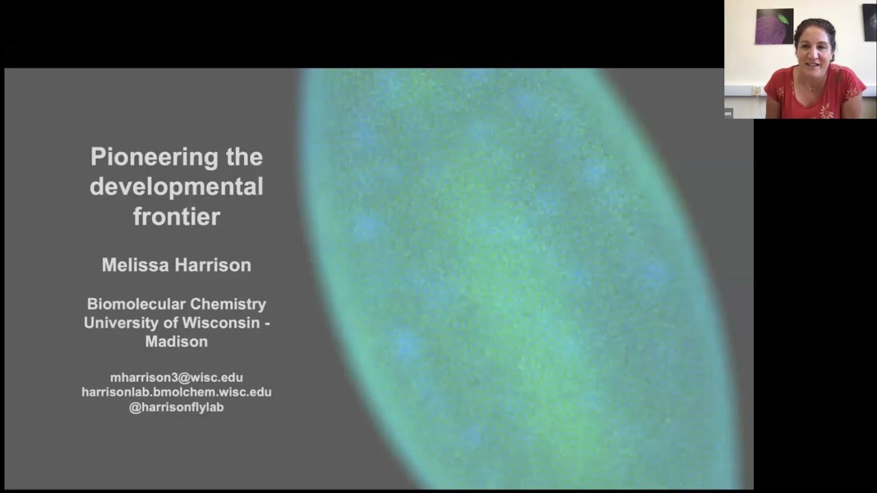 Melissa Harrison: "Pioneering the developmental frontier" - YouTube