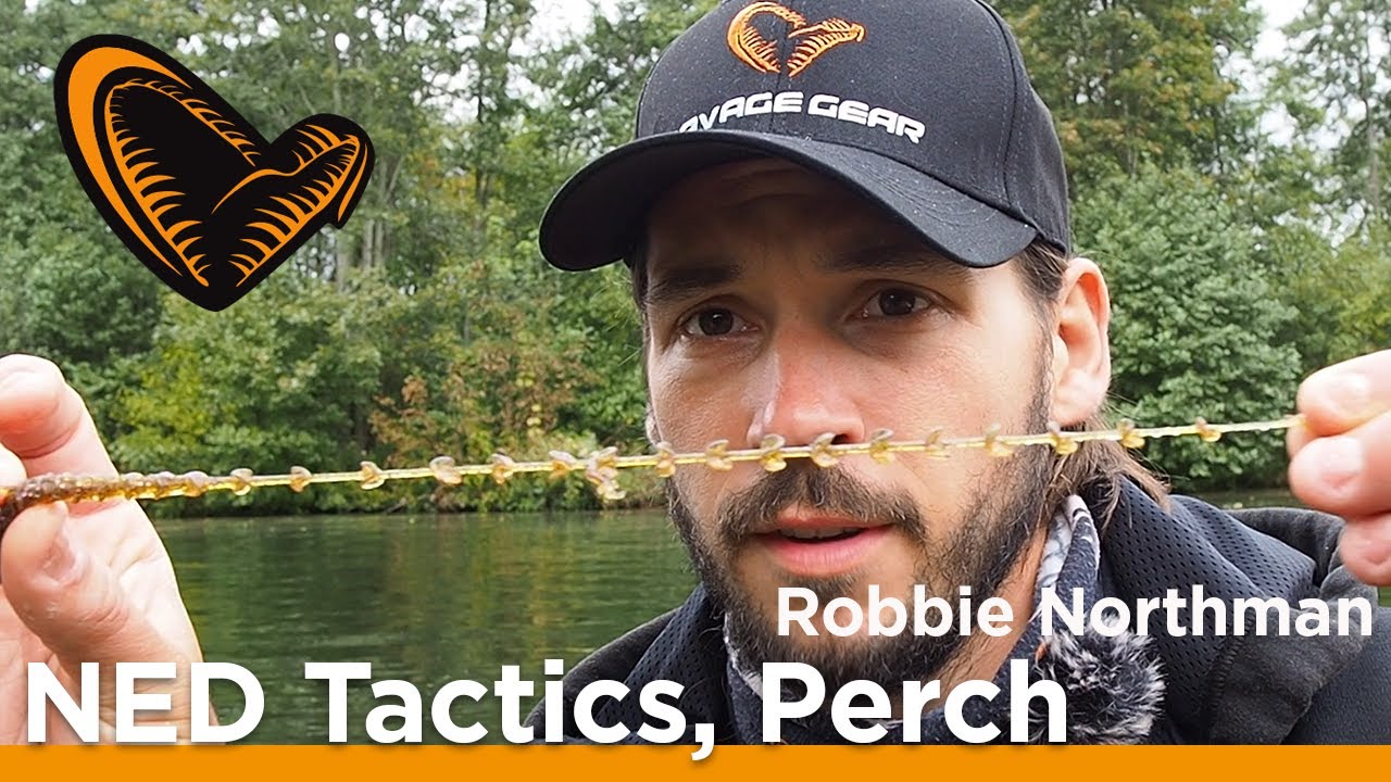 NED Fishing Tactics for Perch - Robbie Northman - YouTube