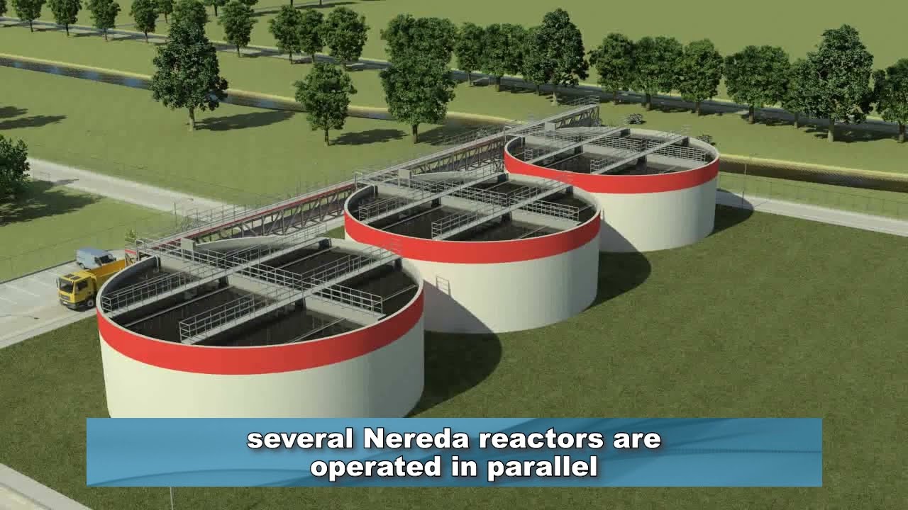 Intro Nereda Technology - YouTube