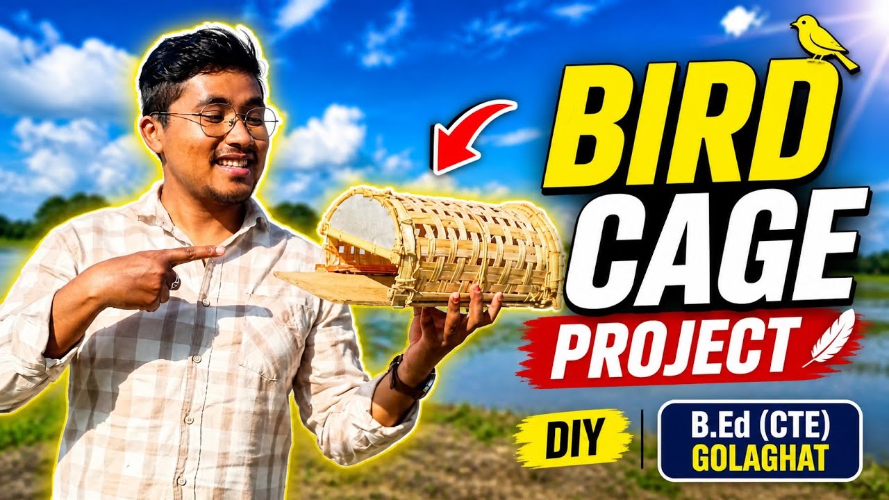 প্ৰকৃতি আৰু কলাৰ সমন্বয়: এটি পখীৰ সঁজা #feed #video #viralvideo - YouTube