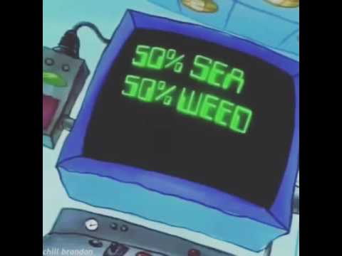 50% Sea 50% Weed - YouTube