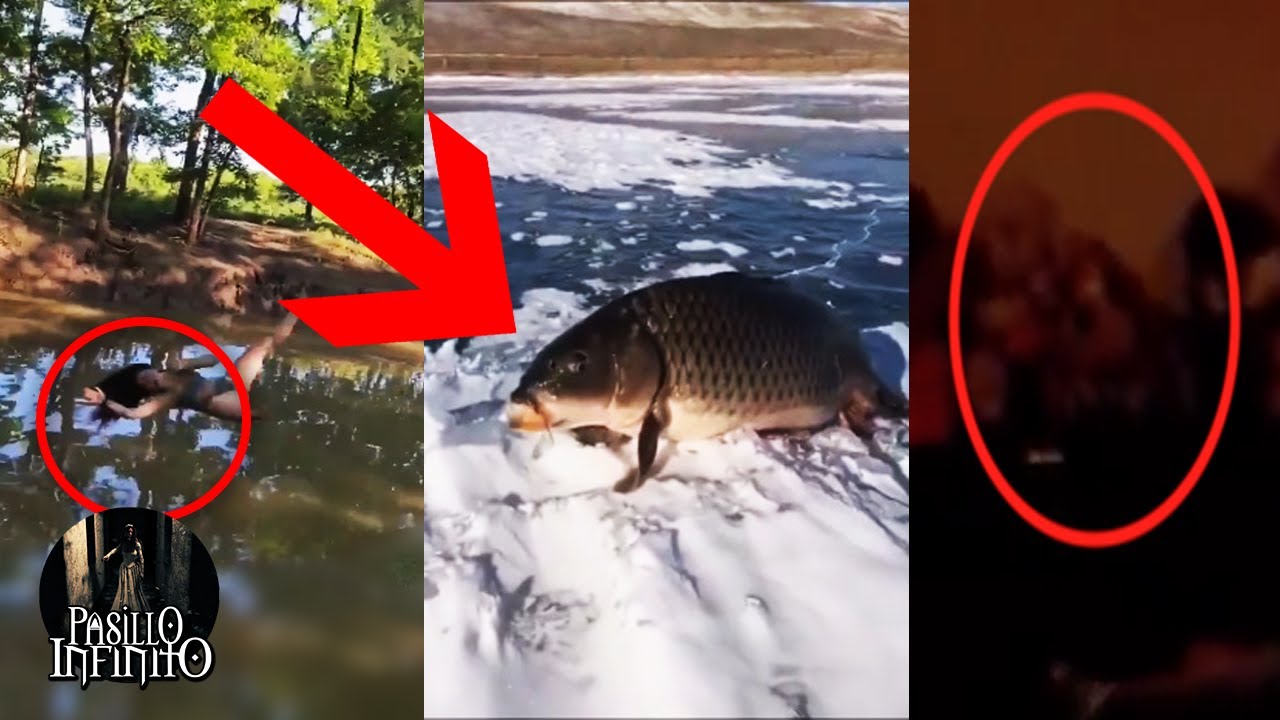 Los Videos mas Extraños de Internet 30 l Pasillo Infinito - YouTube