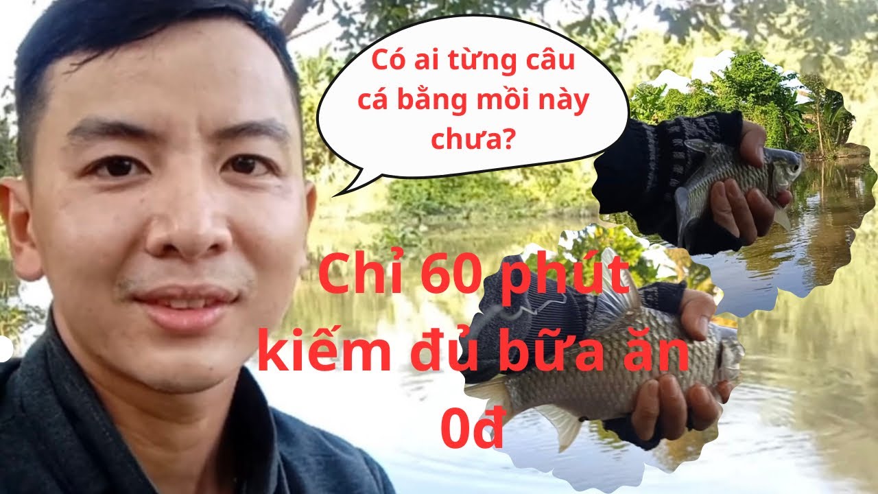 Trúng điểm câu siêu dính - Cá Mè Dinh mùa nước nổi mập ú || Đồng Quê ...