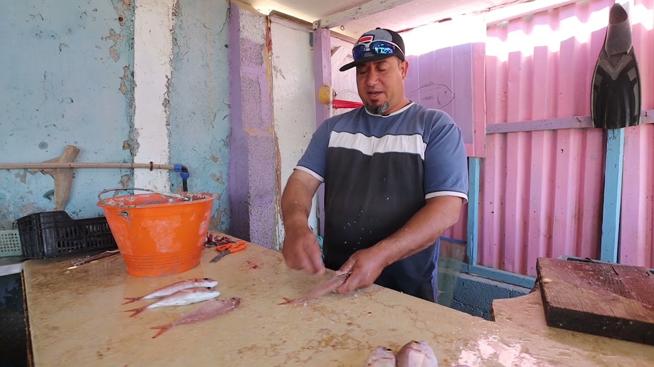 طرابلس، ليبيا جولة بسوق السمك مرفأ القصرية قرقارش Fish market in ...